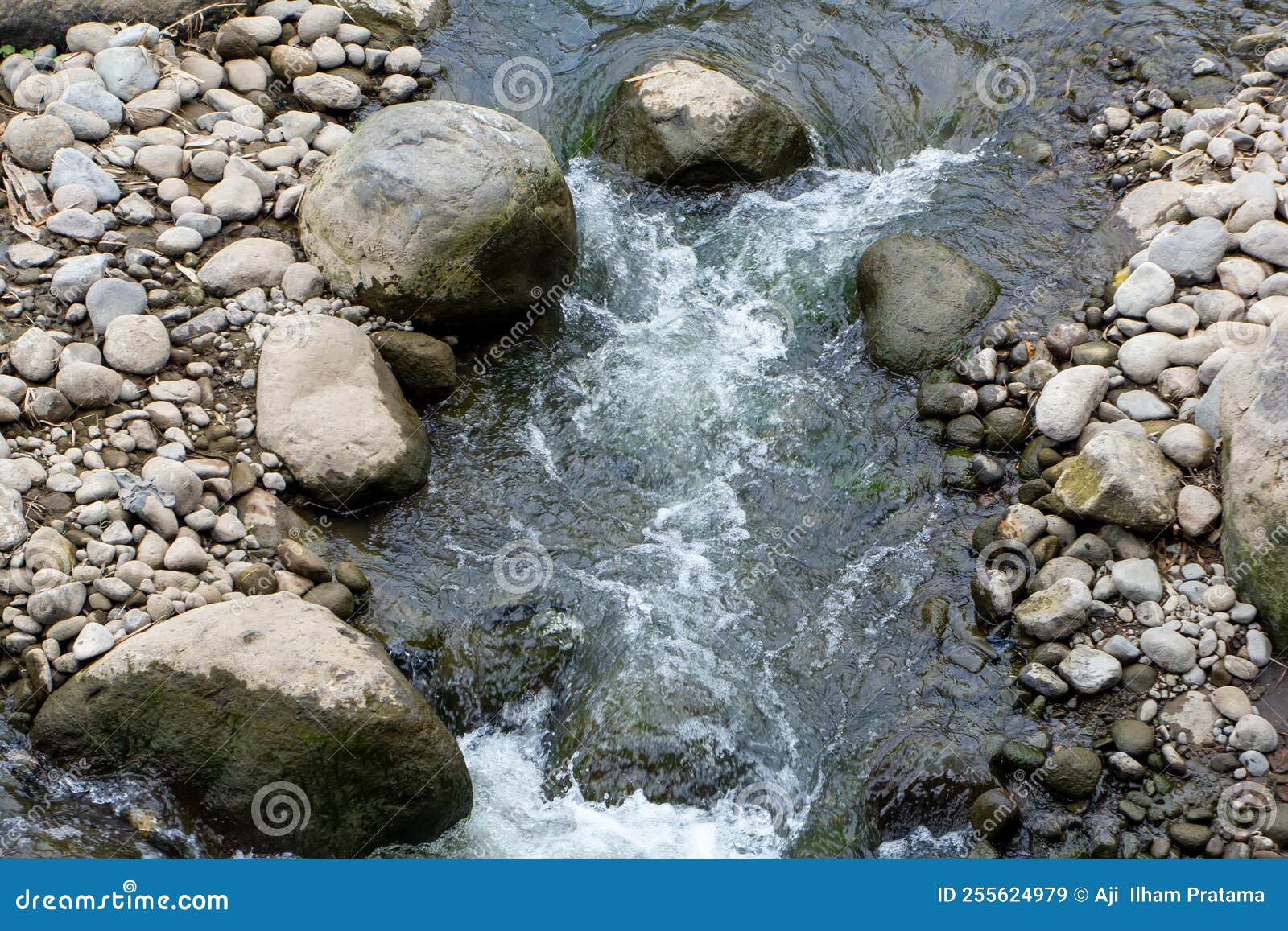 Flujo fluvial imagen de archivo. Imagen de fondo, alpestre - 255624979
