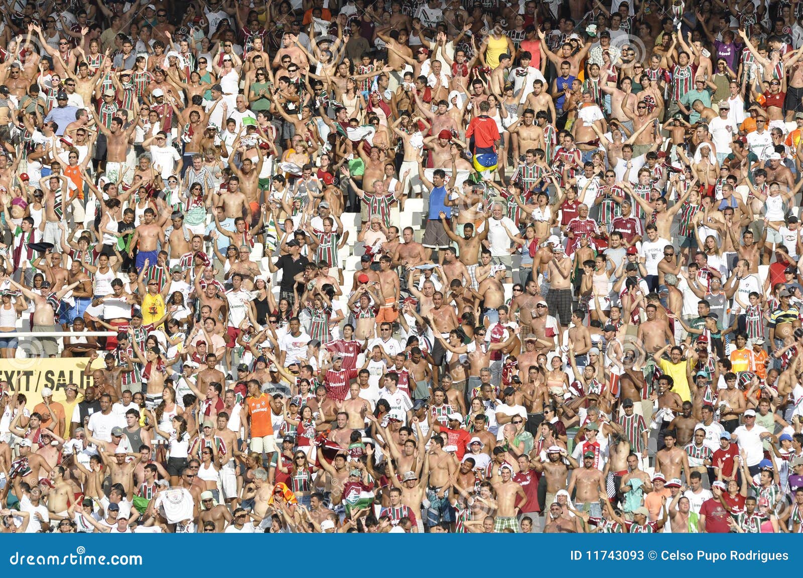 Fluminense X Palmeiras editorial stock photo. Image of people - 11743093