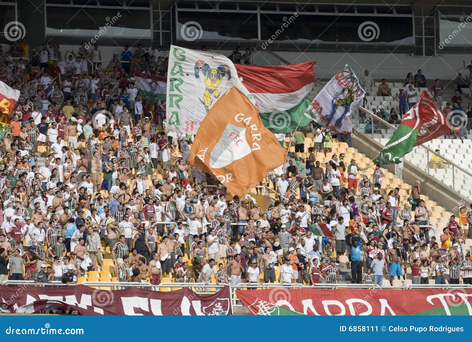 Fluminense X Palmeiras editorial photo. Image of stadium - 6858111