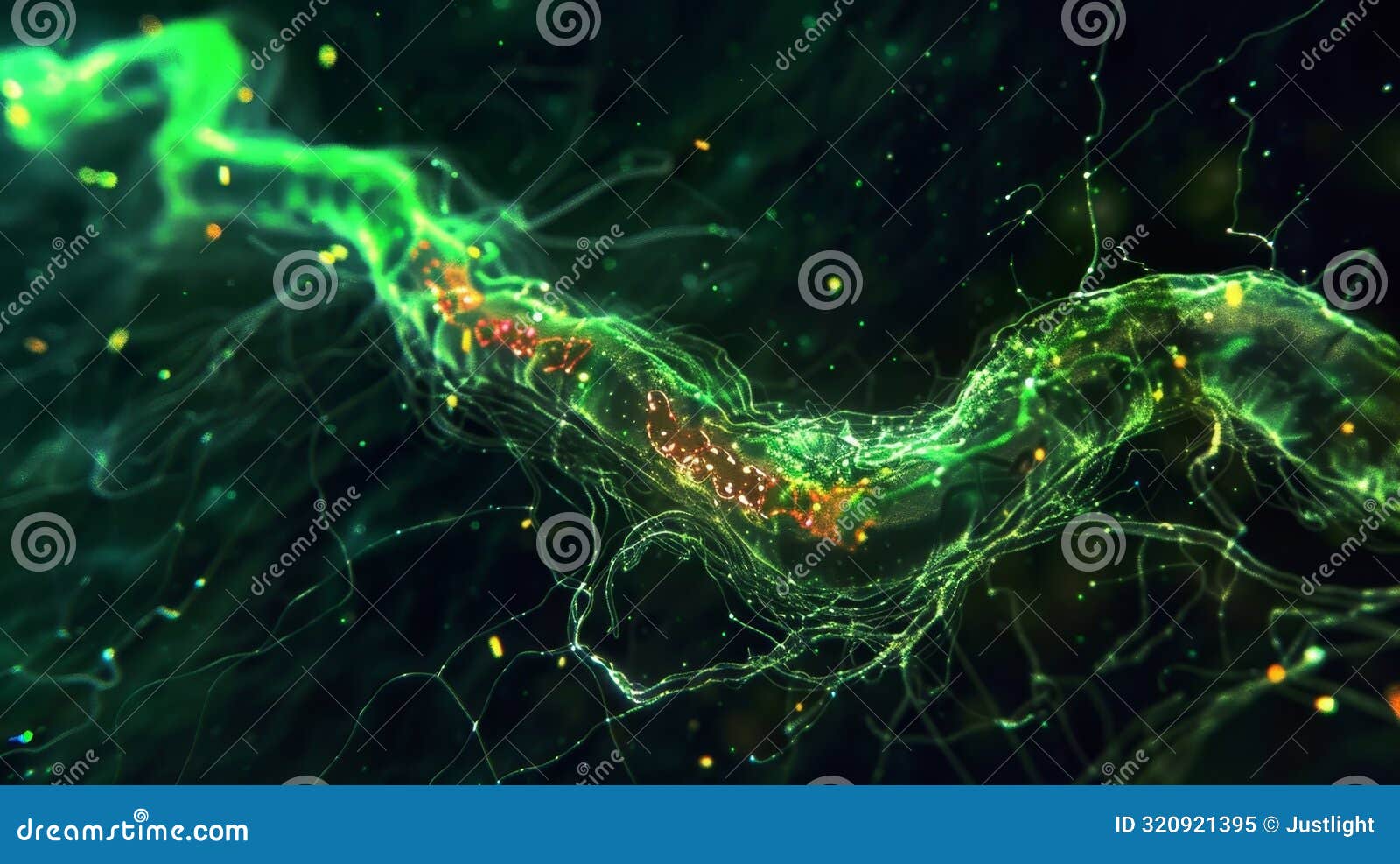 Fluorescence Microscopy Image Revealing The Colocalization Of Dopamine ...