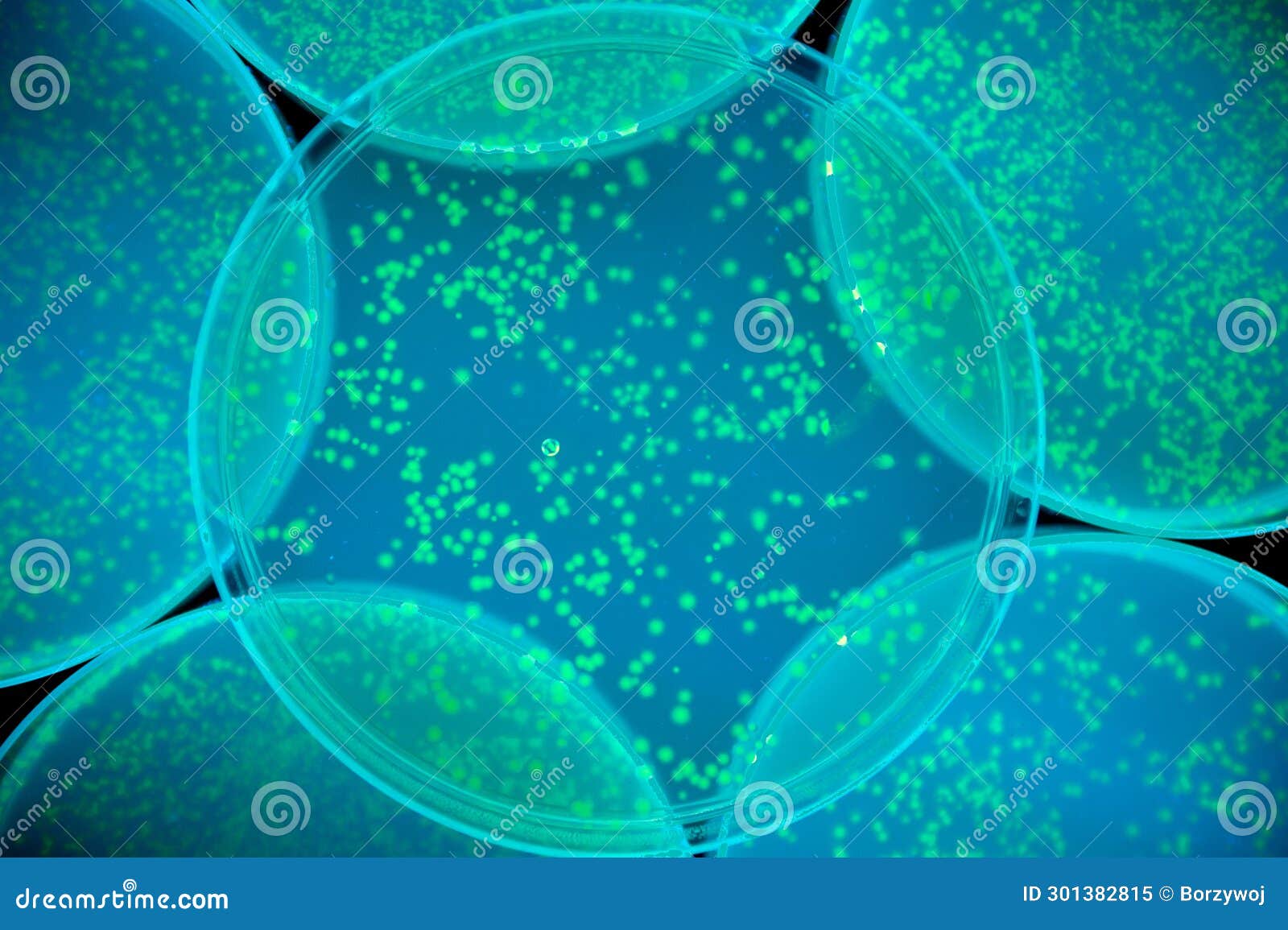 Fluorescent Bacteria Background Royalty-Free Stock Photography ...