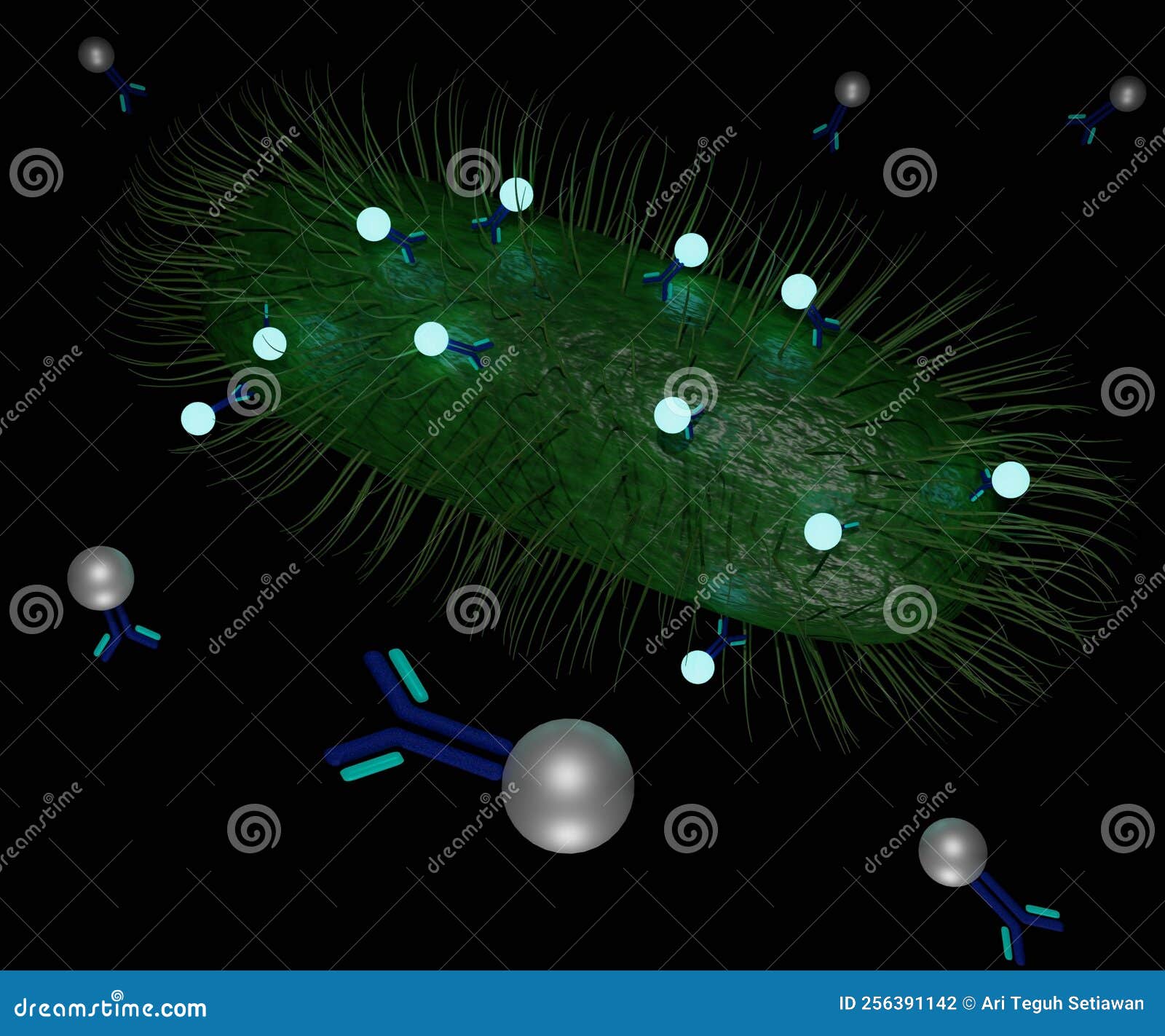 Fluorescent Based Quantum Dot Immunoassay Nanosensors on Pathogenic ...