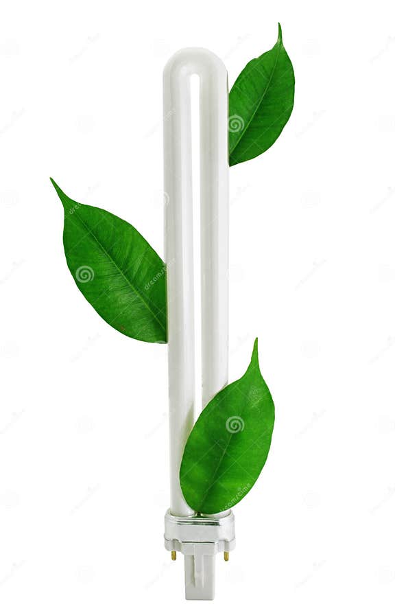 Fluorescent Eco lamp stock photo. Image of foliage, creative - 23938112