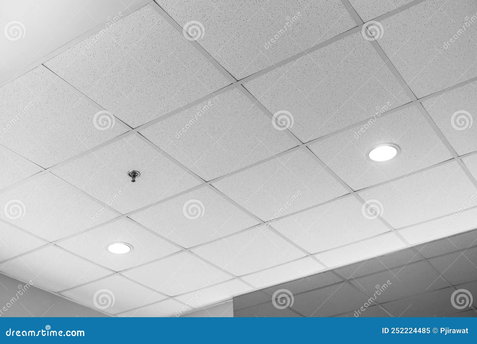 Fluorescent Lamp on Ceiling Stock Image - Image of bright, efficiency ...