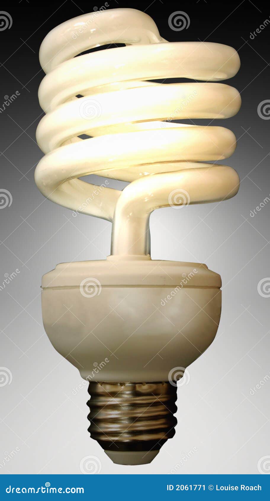 528 Light Bulb One Lit Stock Photos - Free & Royalty-Free Stock Photos ...