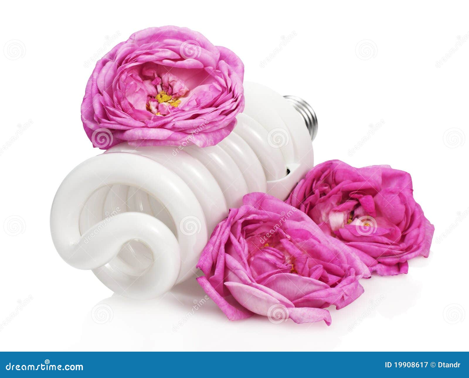 Fluorescent Light Bulb among Roses Stock Image - Image of ...