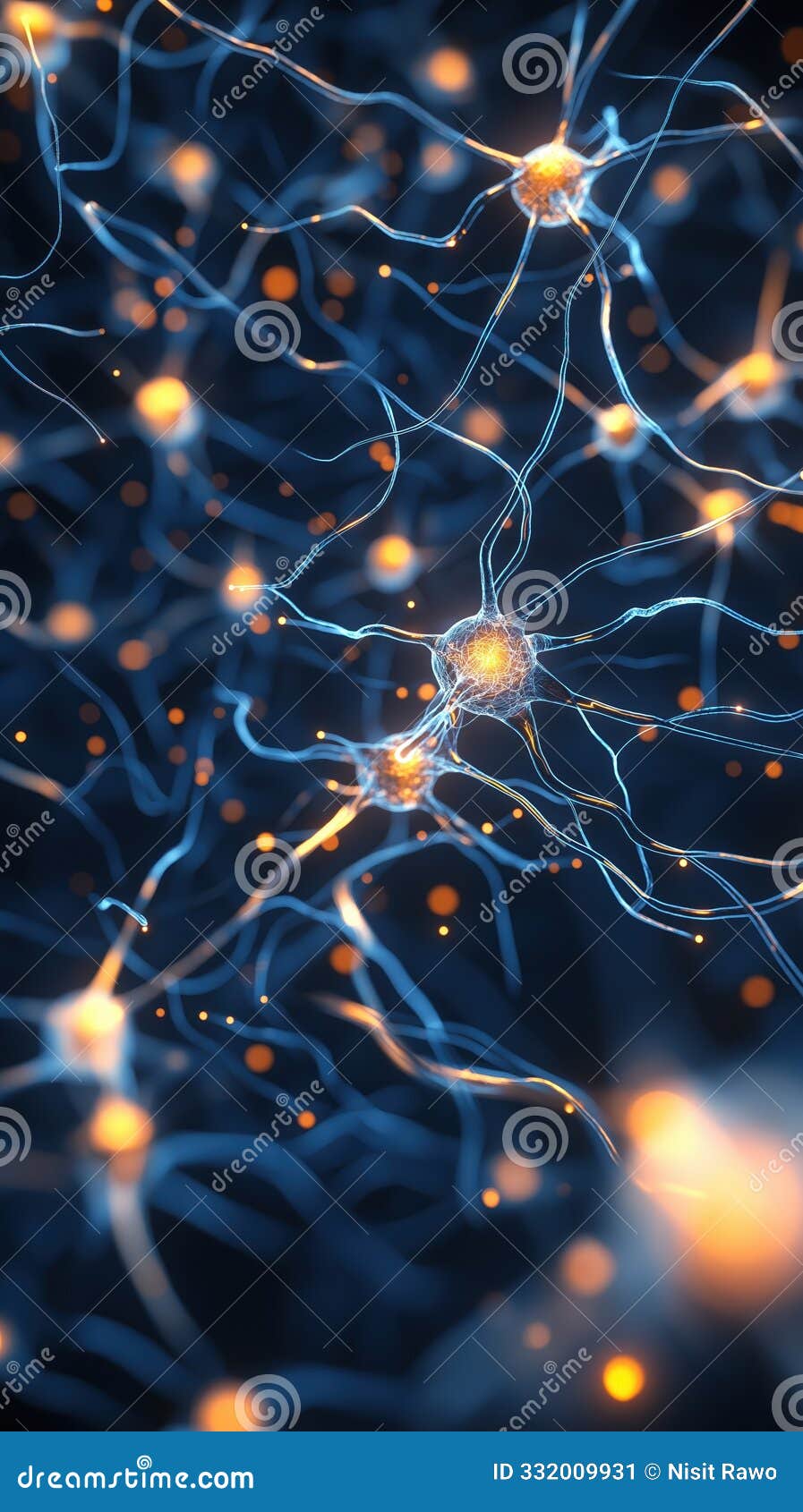 Fluorescent Microscopy Image of a Neuron Network, with Glowing Synapses ...