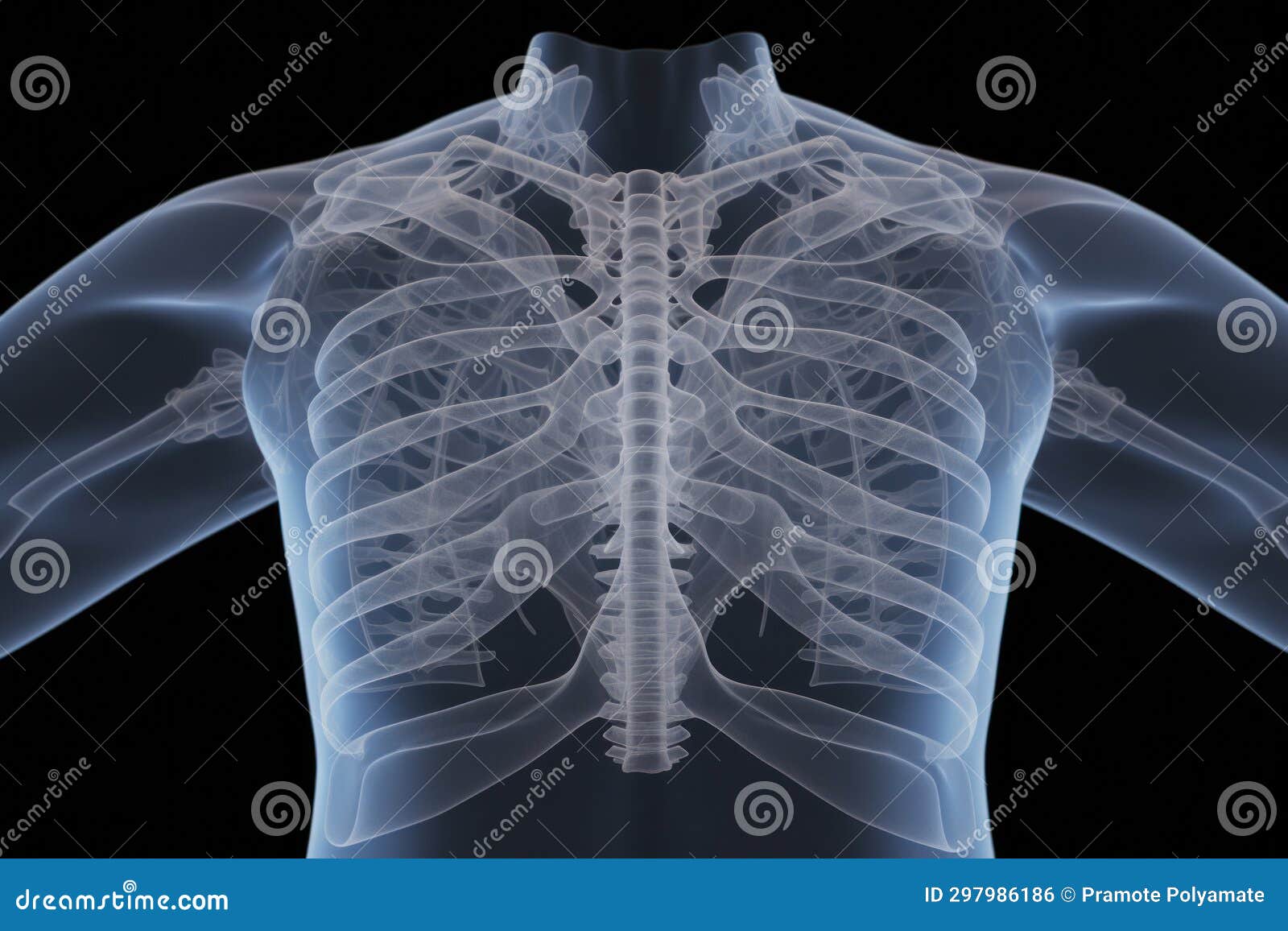 Fluorography of the Human Chest Stock Photo - Image of clinic, disease ...