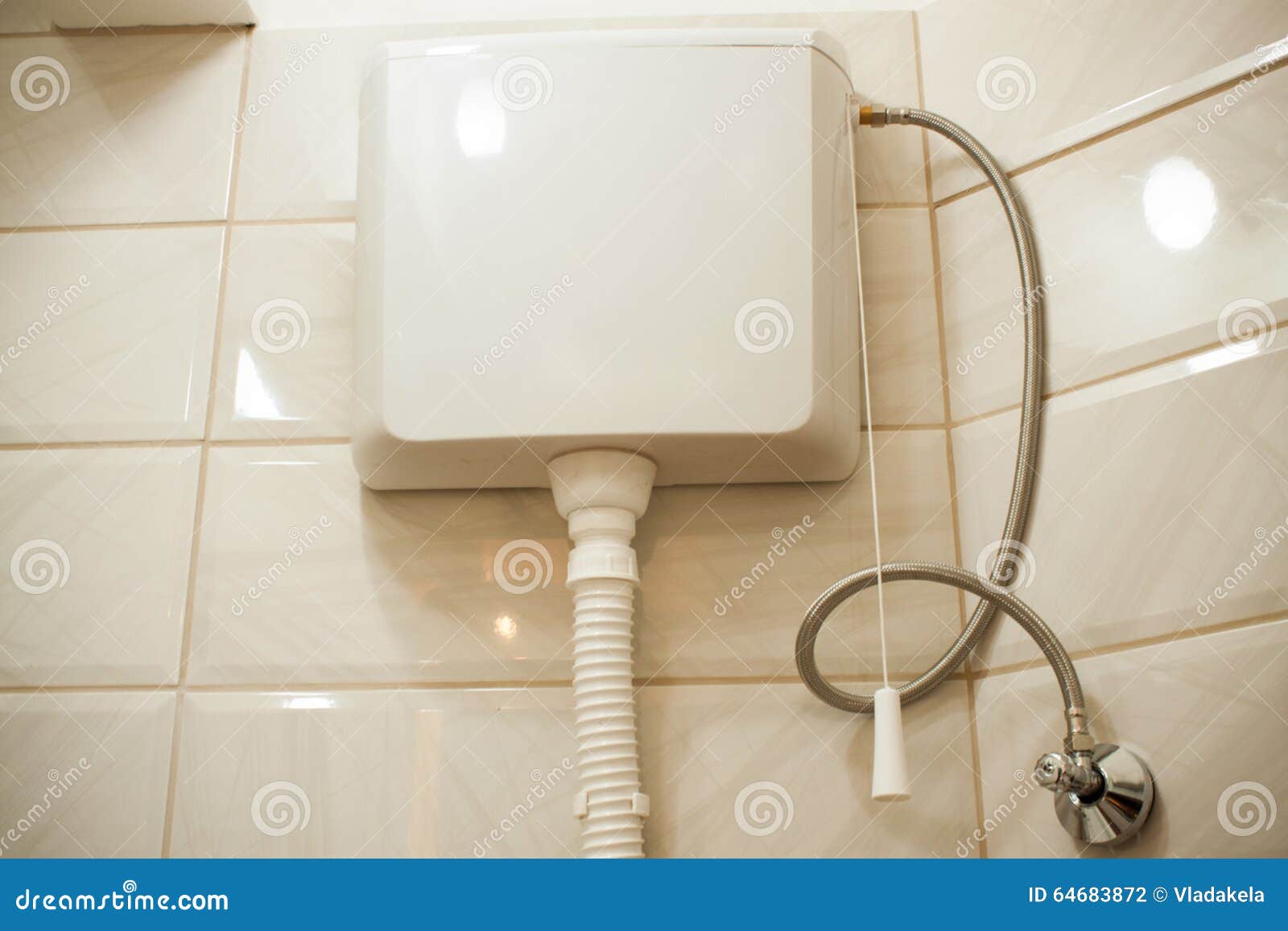 Flush in Luxury Modern Style Interior Bathroom. Stock Photo - Image of ...