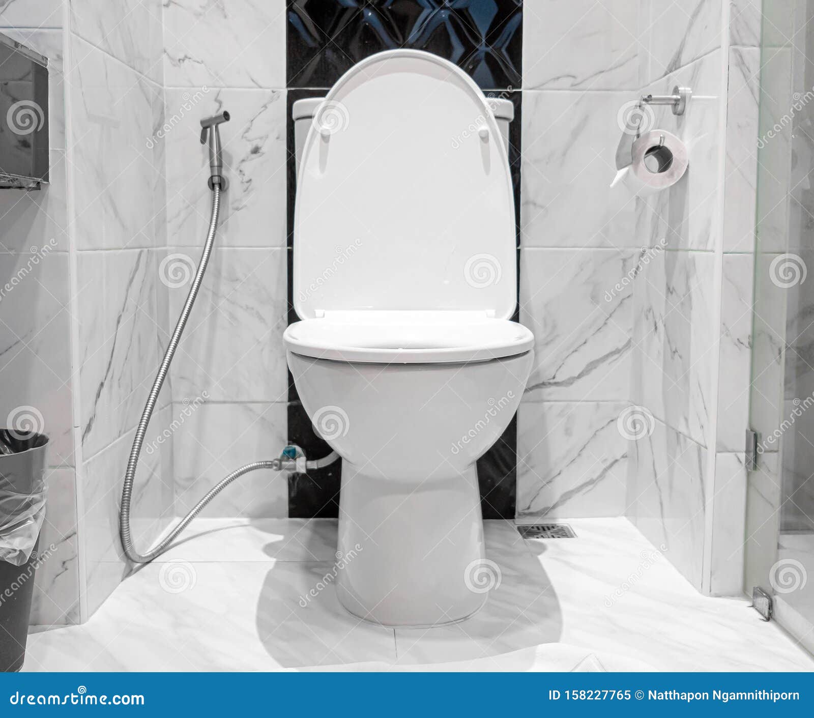 Flush toilet in bathroom stock image. Image of house - 158227765