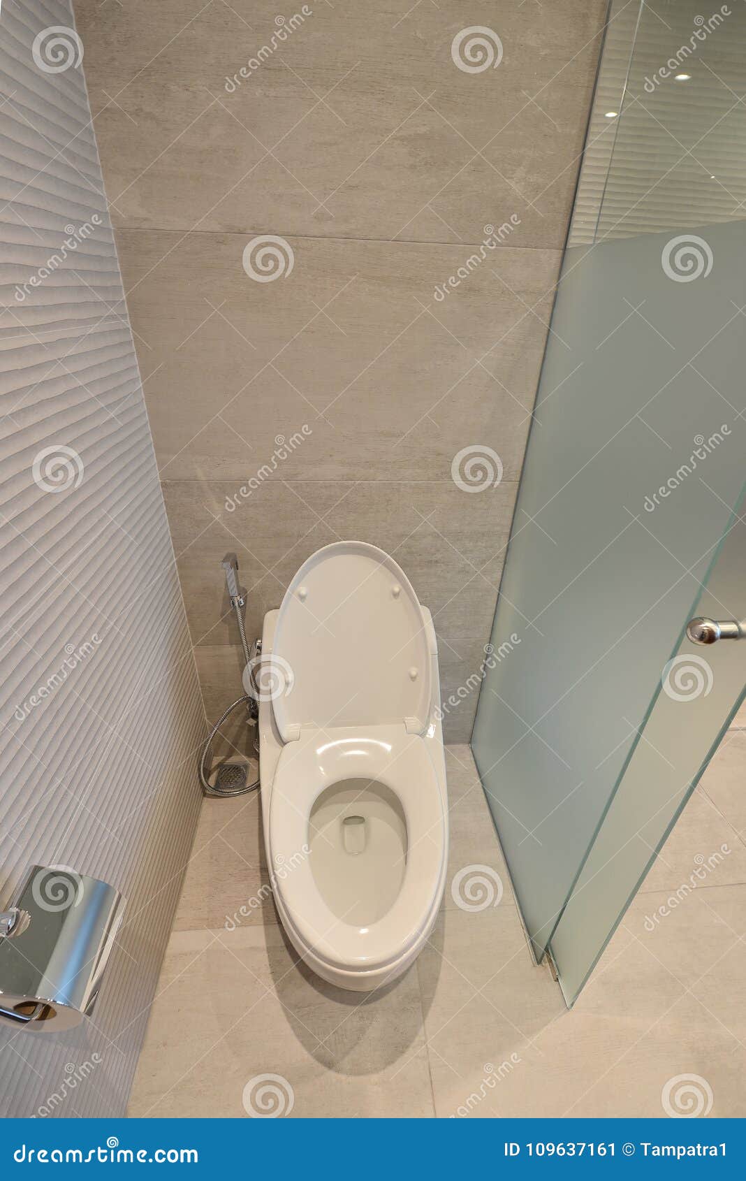 Flush Toilet in a Modern Bath Room, Interior Design Stock Image - Image ...