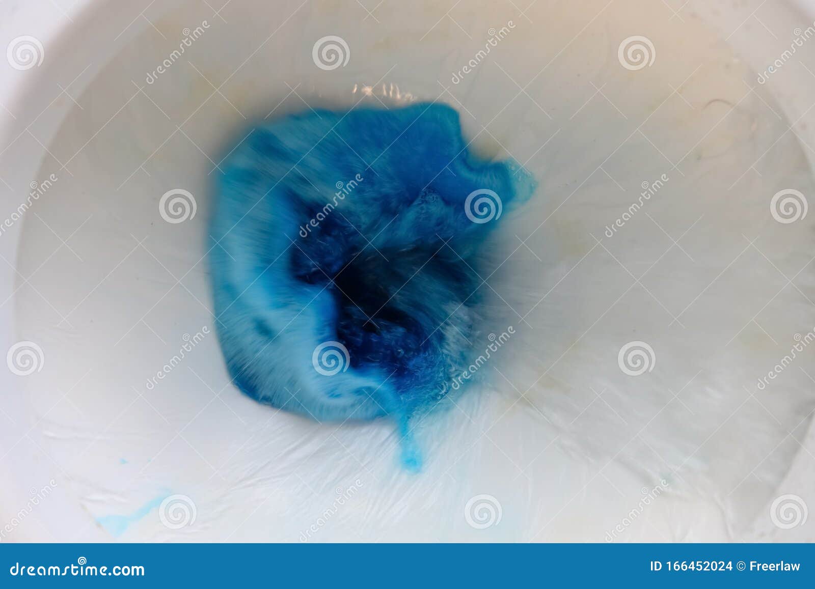 Flushing a Closestool with Blue Water Stock Photo - Image of ...