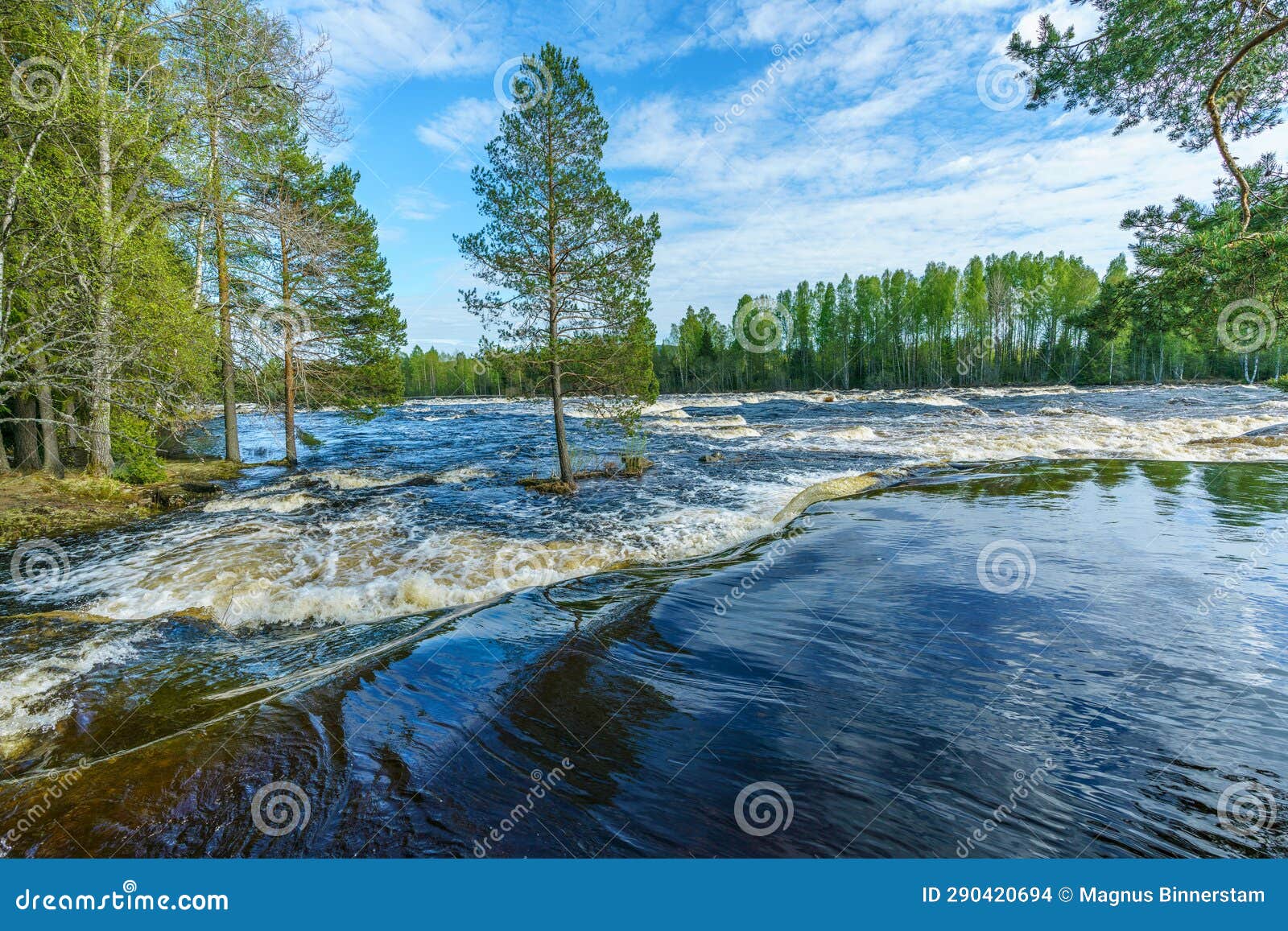 Flushing Spring Flood at the Dal-River in Sweden Stock Photo - Image of ...