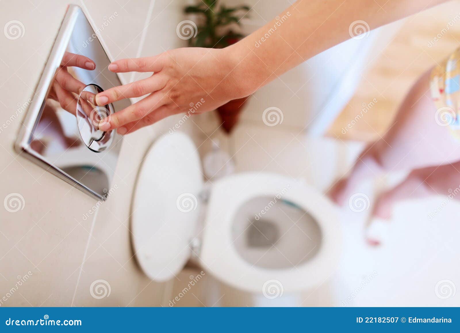 Flushing toilet stock image. Image of bath, apartment - 22182507