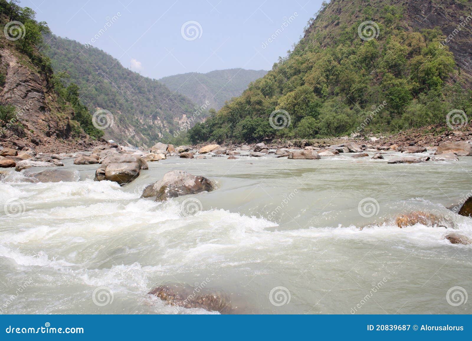 Fluss Ganga, der Ganges stockbild. Bild von gelb, dschungel - 20839687