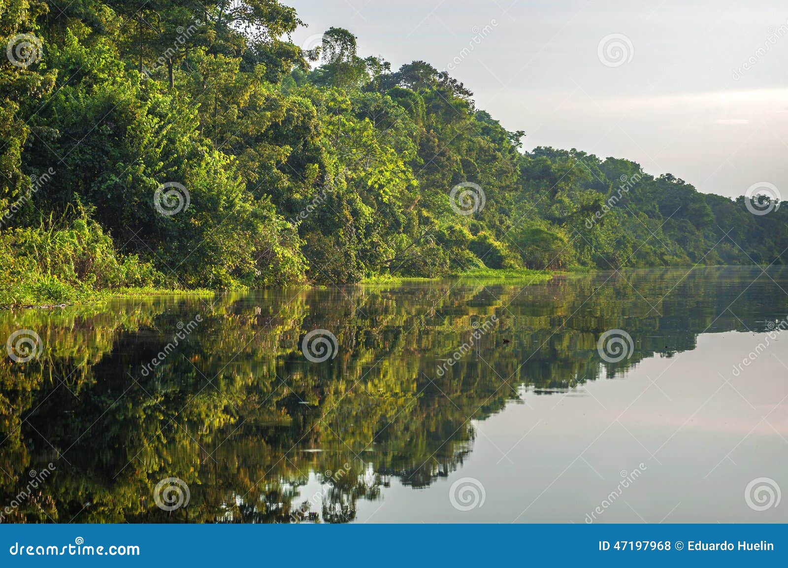 Fluss Im Amazonas-Regenwald, Peru, Südamerika Stockfoto - Bild von ...