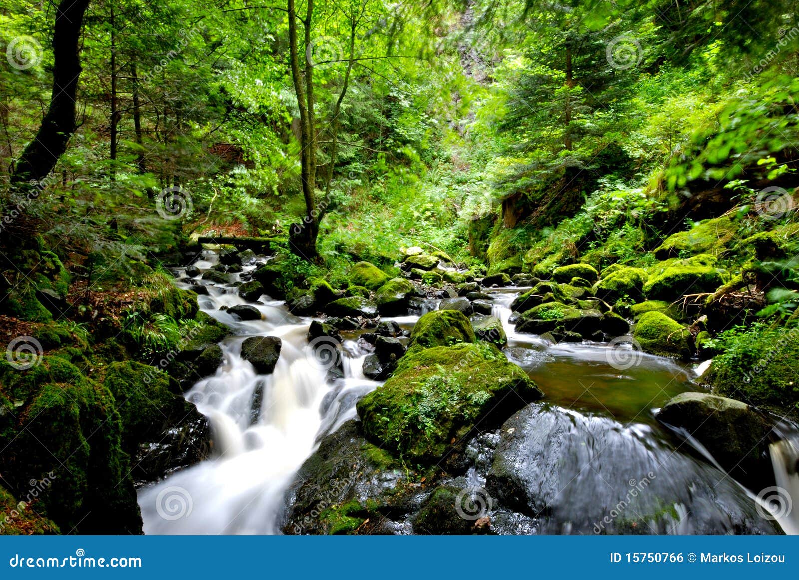 Fluss im Wald stockfoto. Bild von fluß, moos, wasser - 15750766