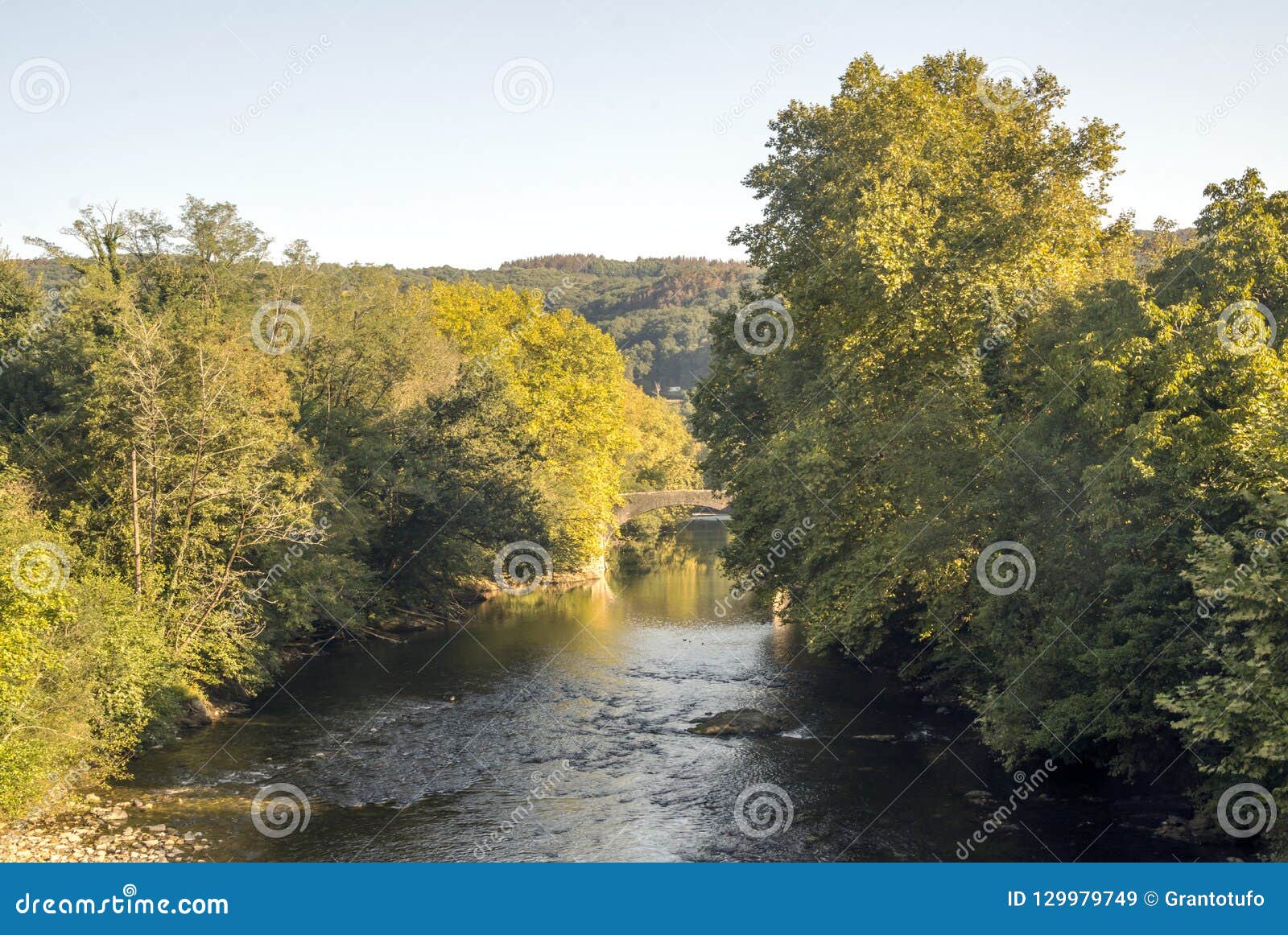 Fluss im Wald mit Feldern stockbild. Bild von grün, antenne - 129979749