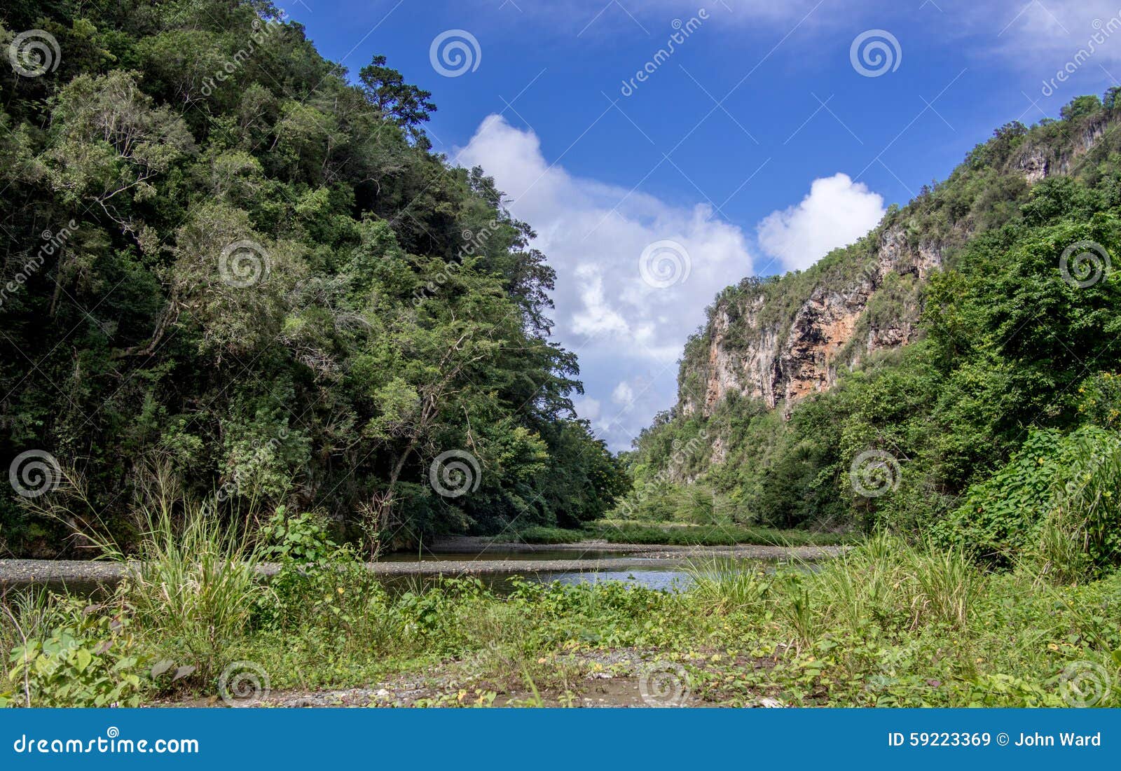 Fluss Yumuri Baracoa Kuba stockbild. Bild von tropisch - 59223369