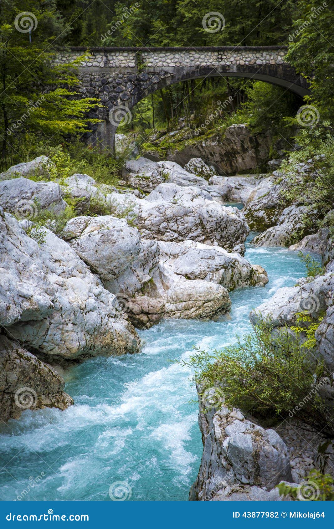 Flussbett von Soca stockfoto. Bild von freizeit, bäume - 43877982