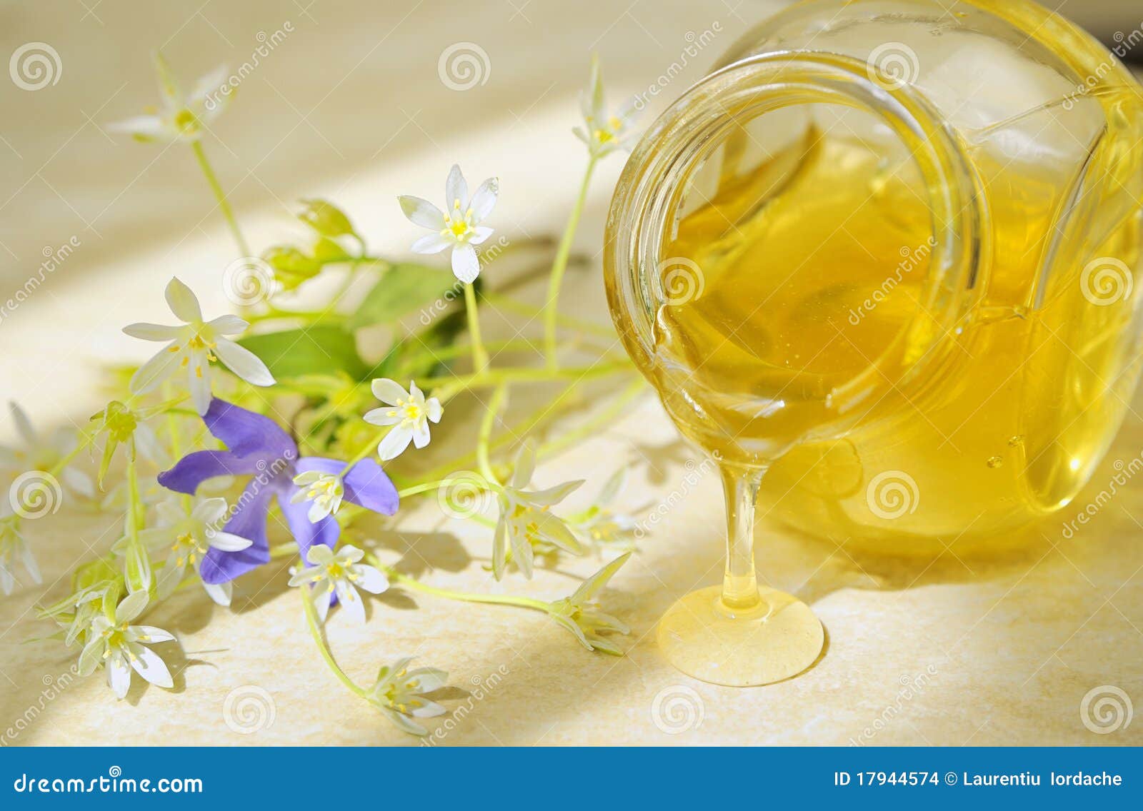 Flusso e fiori del miele fotografia stock. Immagine di acquerugiola ...