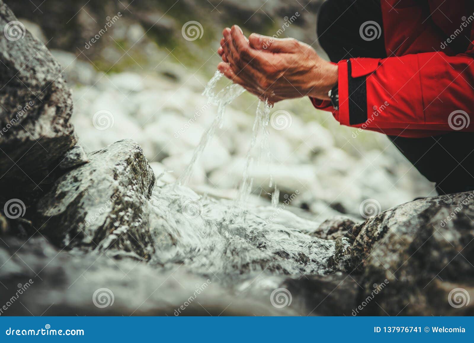 Flusswasser-Trinken stockbild. Bild von durstig, reise - 137976741