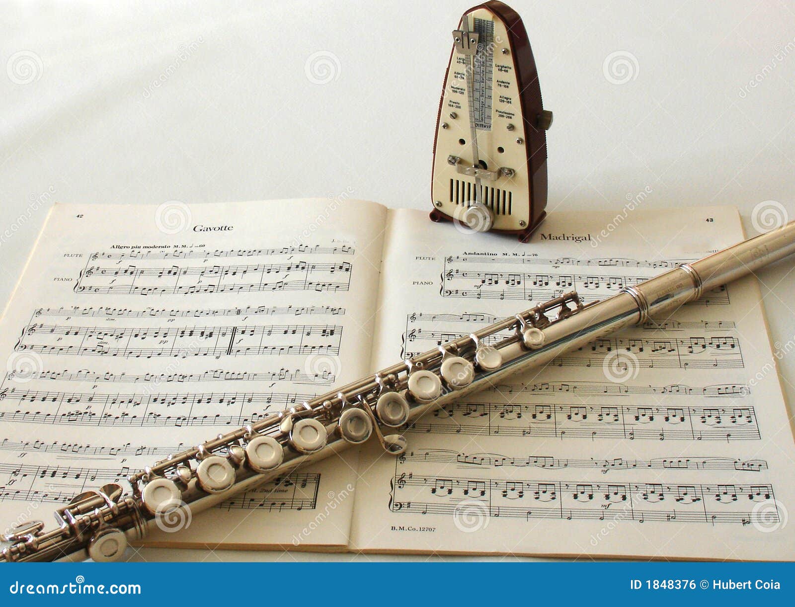 Flute stock photo. Image of prelude, music, artist, partition - 1848376