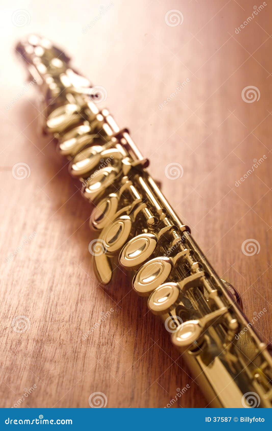 Flute stock image. Image of jazz, unity, popular, instrument - 37587