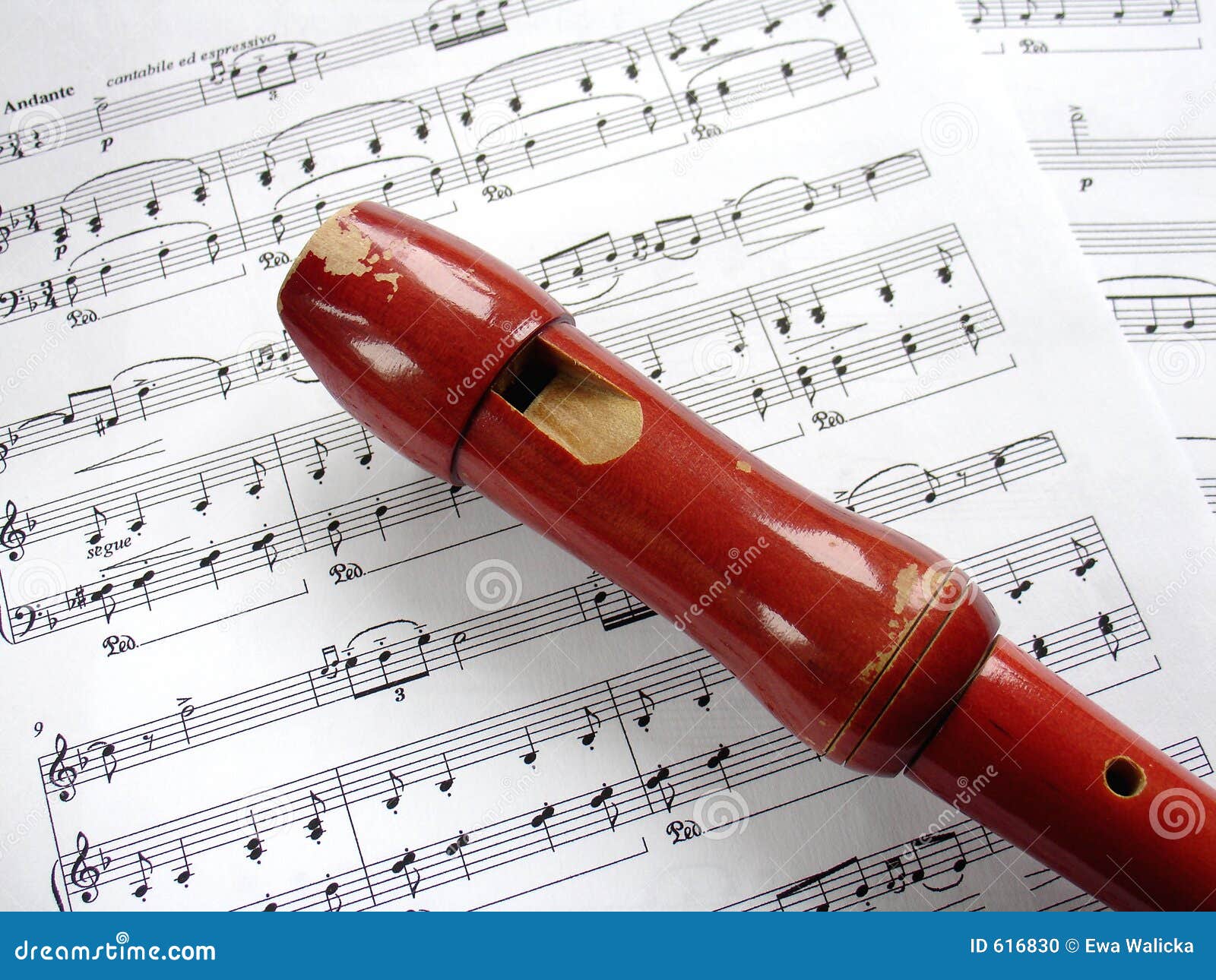 Flute stock photo. Image of flute, play, orchestra, instrument - 616830