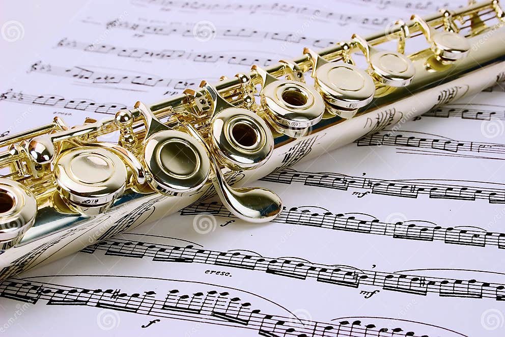 Flute stock photo. Image of rehearsal, flute, flutes, musician - 7154110