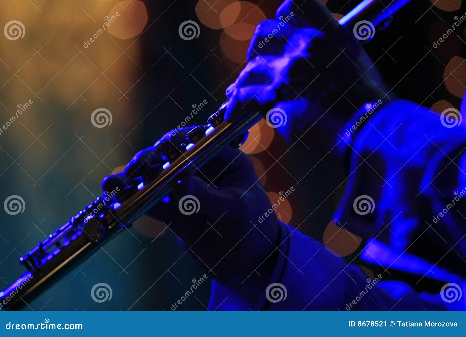 Flute stock image. Image of solo, musicality, song, profession - 8678521
