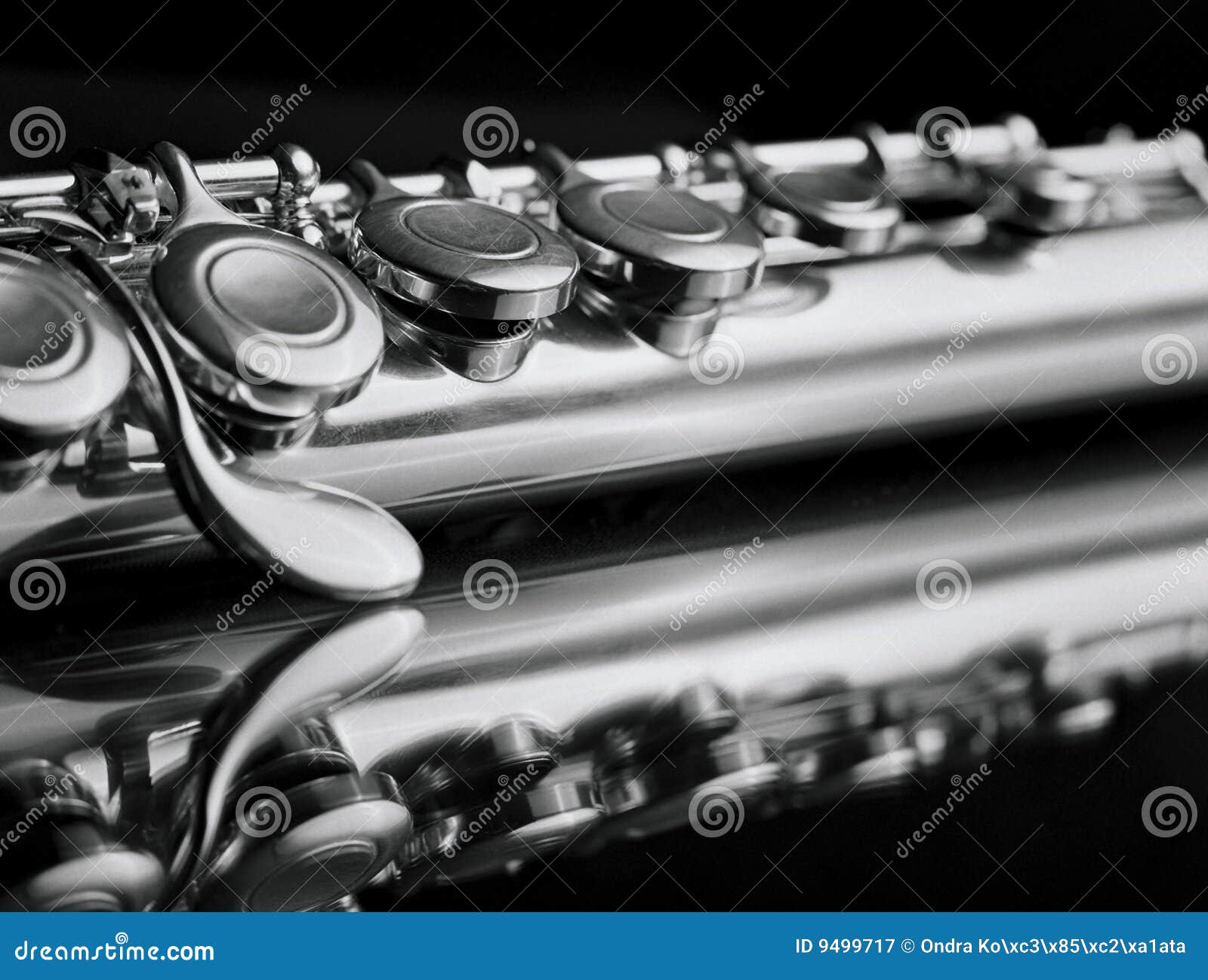 Flute stock image. Image of sound, silver, musical, detail - 9499717