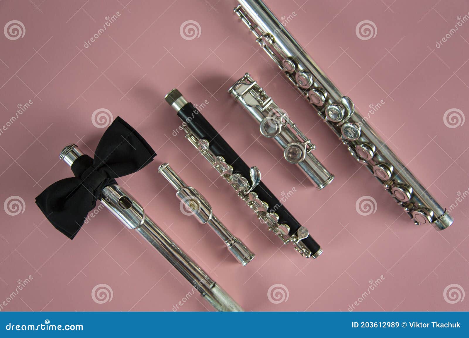 Flute Parts Laid Out on a Pink Surface Stock Image - Image of bright ...