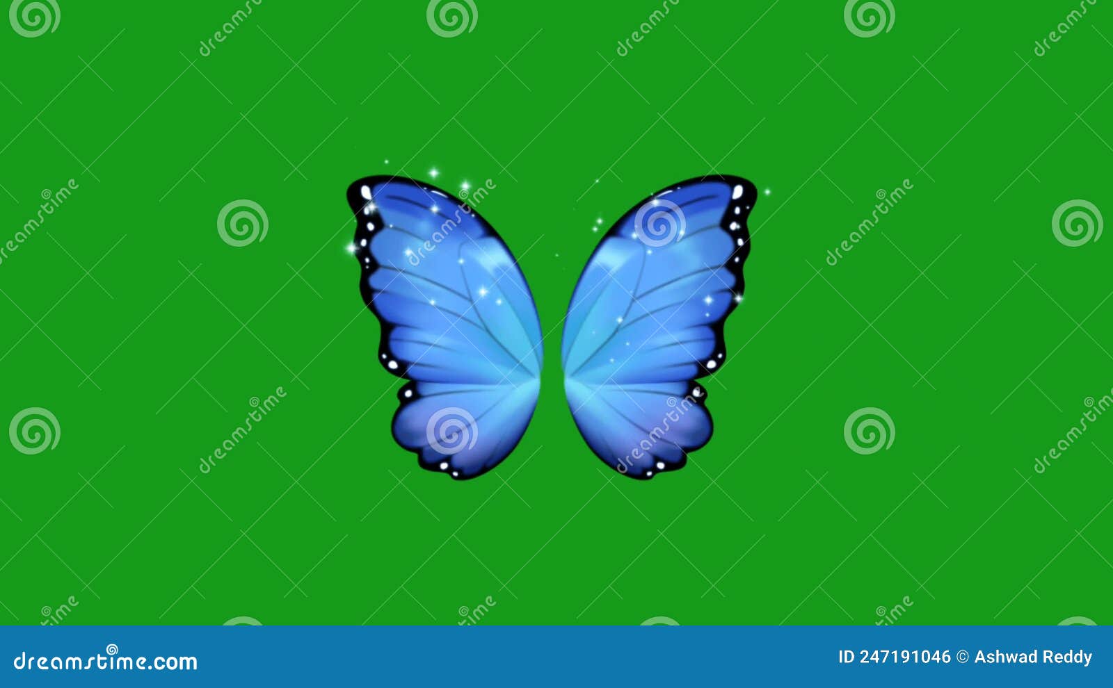 Fluttering Butterfly Wings Green Screen Motion Graphics Stock Footage ...