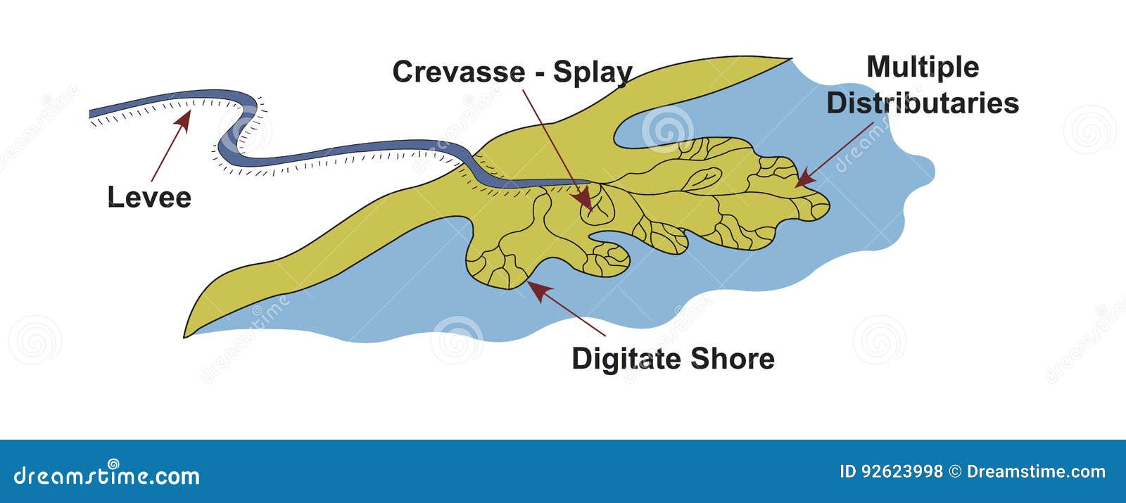 Distributaries Diagram