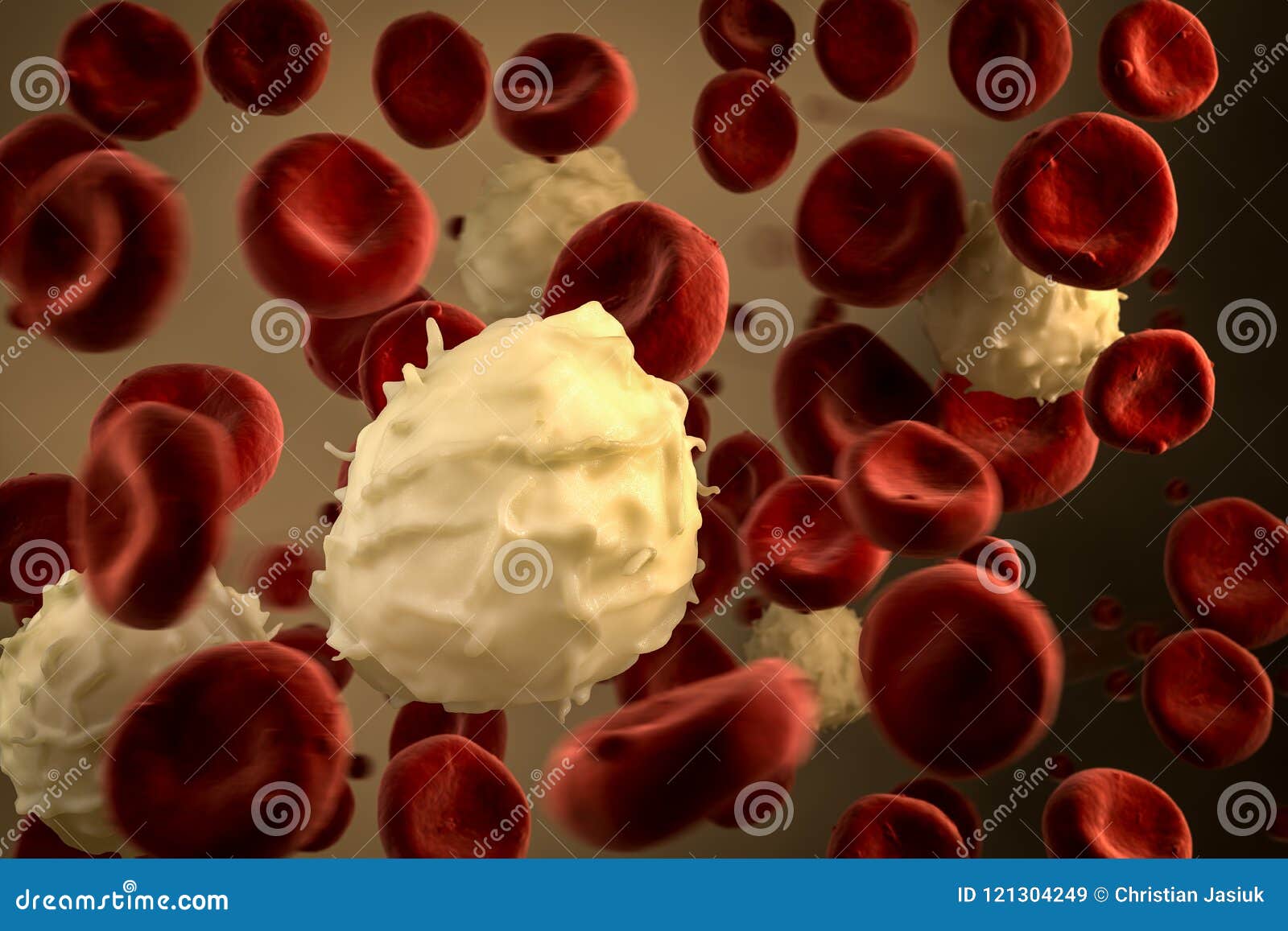 Fluxo Branco Dos Glóbulos Do Basófilo Ilustração Stock - Ilustração de ...