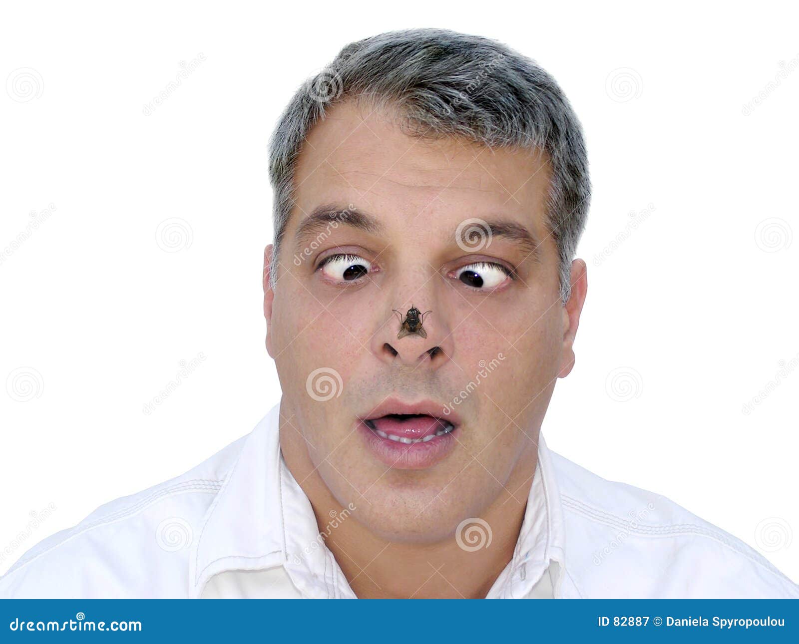 Fly attack stock image. Image of shocked, shock, concept - 82887