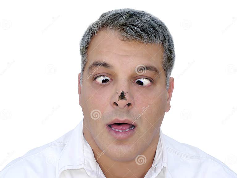Fly attack stock image. Image of shocked, shock, concept - 82887