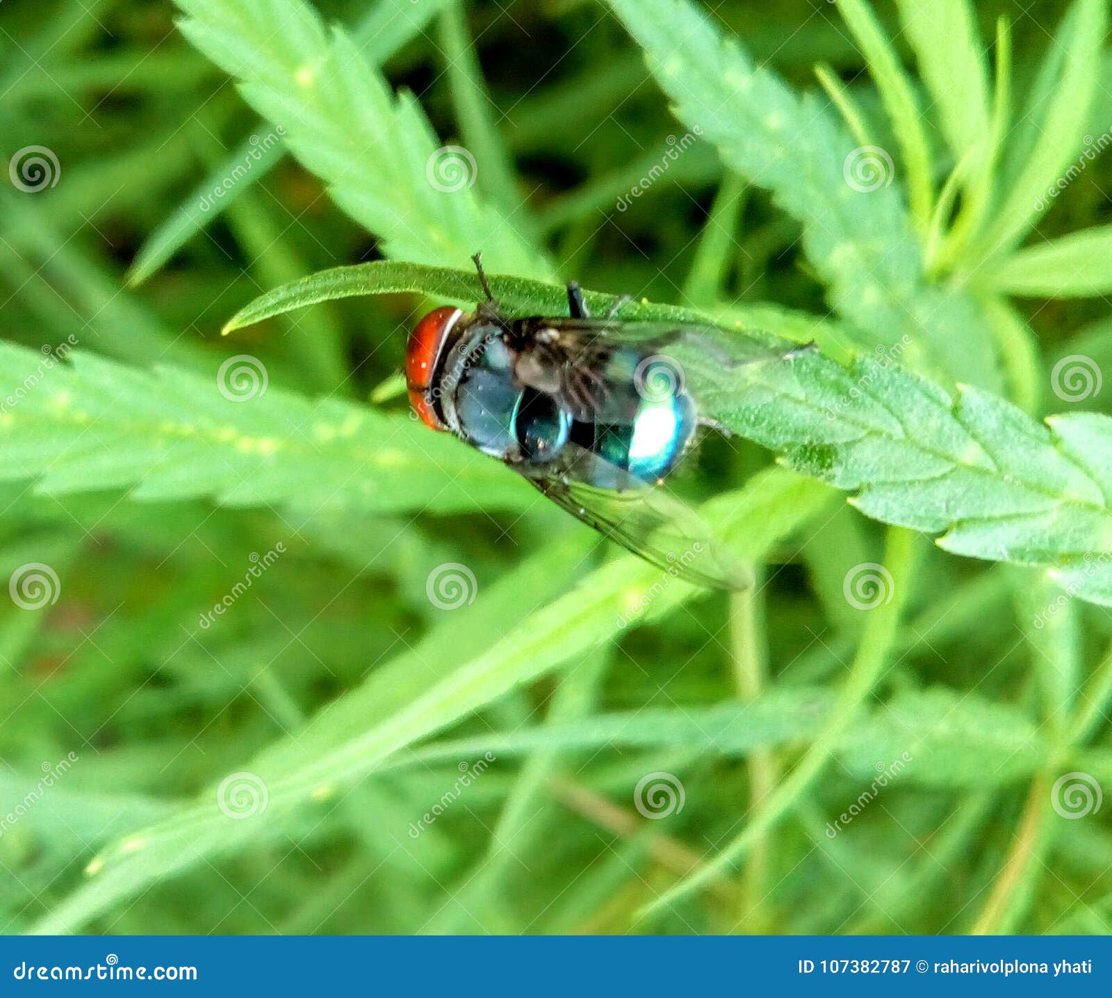 Two Beautiful And Innocent Nepalese Children Stand In A Hindu Temple On ...