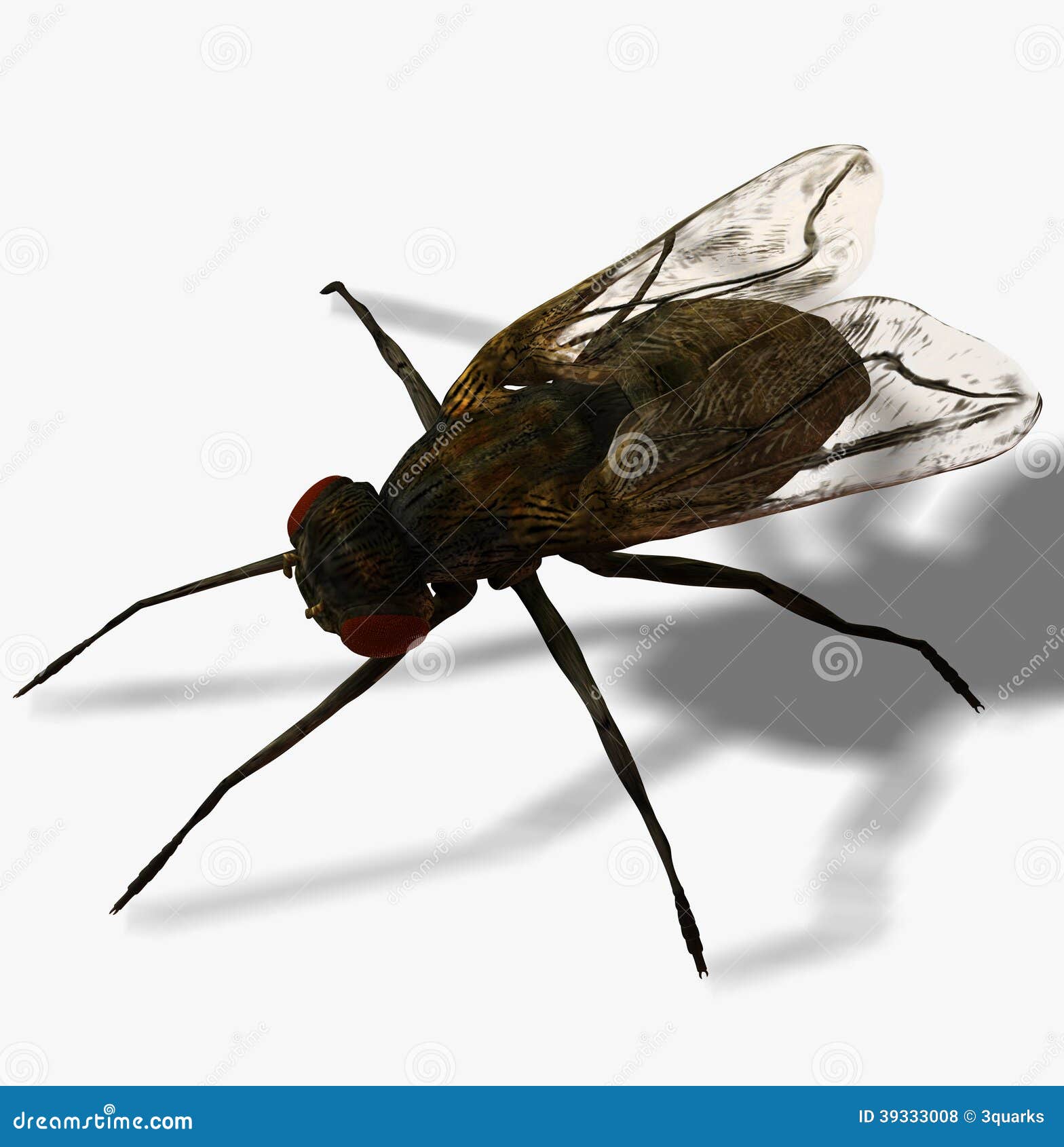 Fly stock illustration. Illustration of insect, small - 39333008