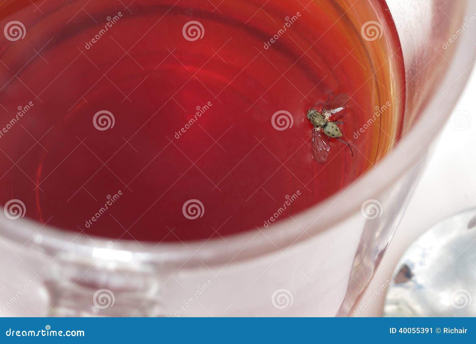 Fly in drink stock image. Image of drown, fall, unhygienic - 40055391