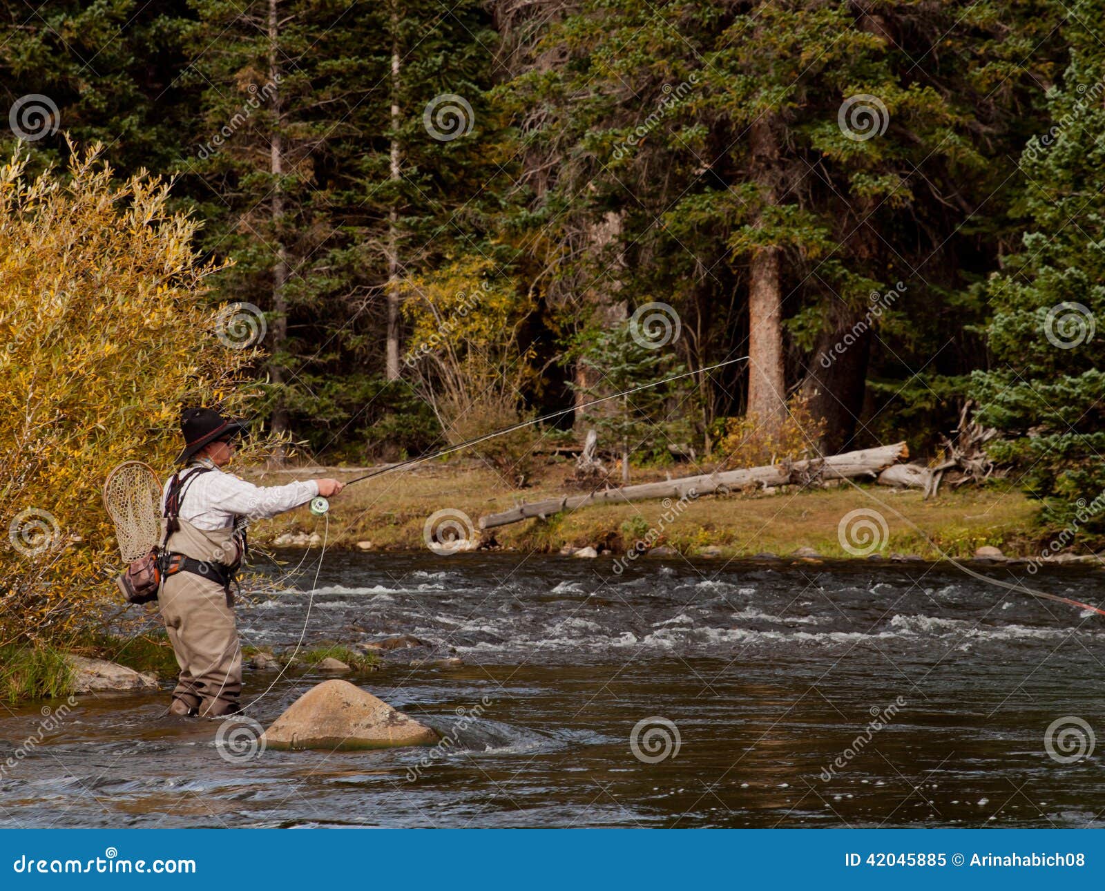 The Colorado River Cuts A Deep Grove Into The Grand Canyon Of Arizona ...