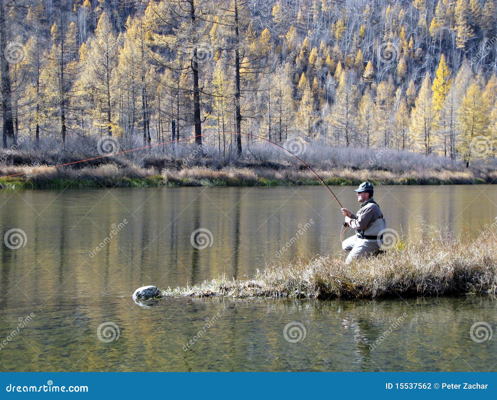 Fly fishing stock photo. Image of bait, alaska, early - 15537562