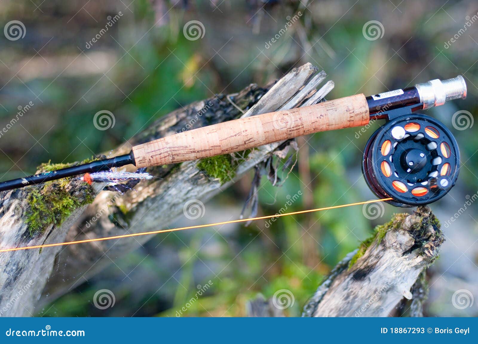 Fly fishing rod and reel stock image. Image of angling - 18867293