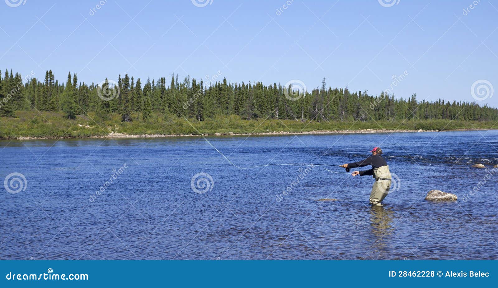 Fly fishing stock photo. Image of gear, leisure, catch - 28462228