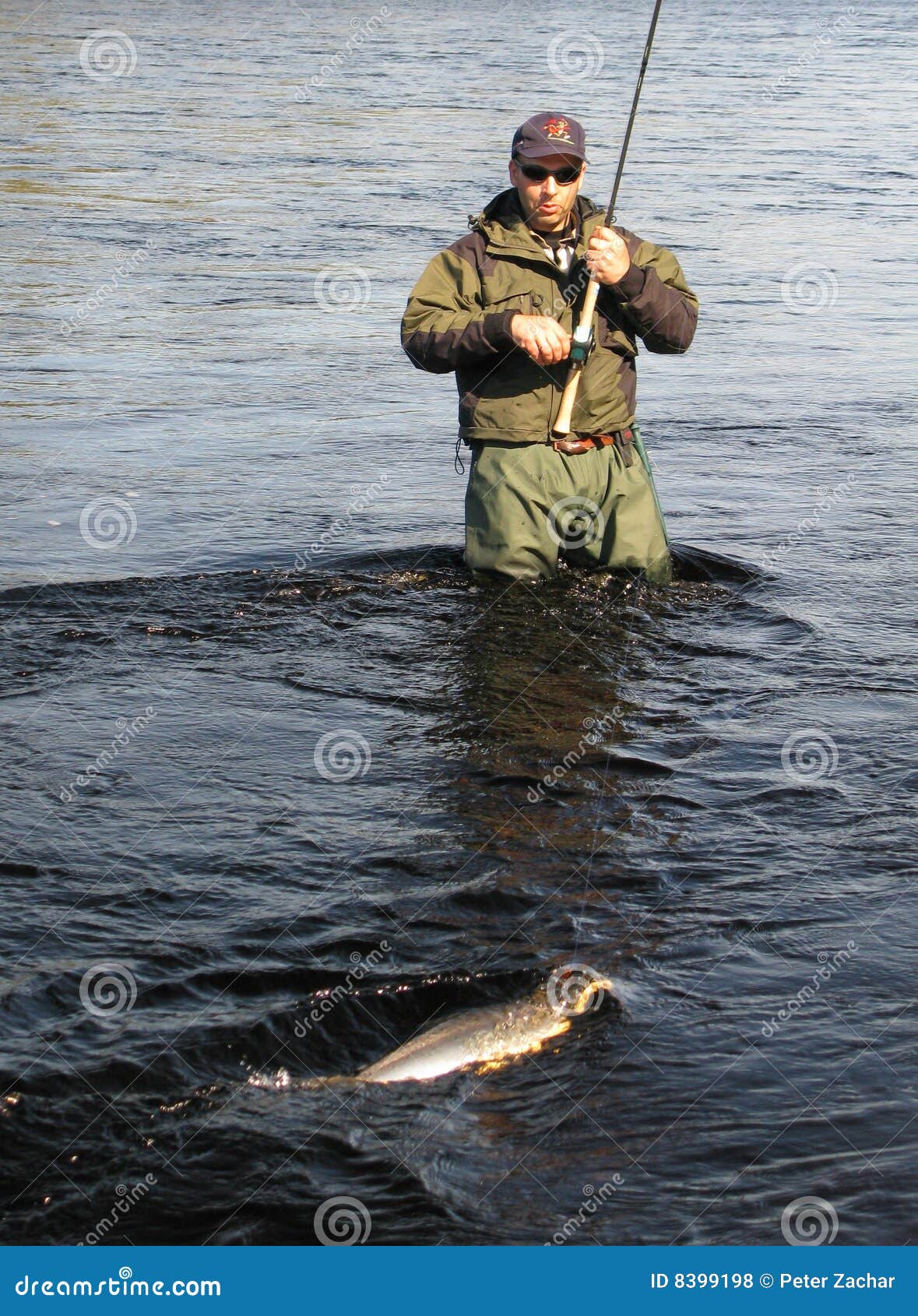 Fly fishing stock photo. Image of bait, catch, angler - 8399198