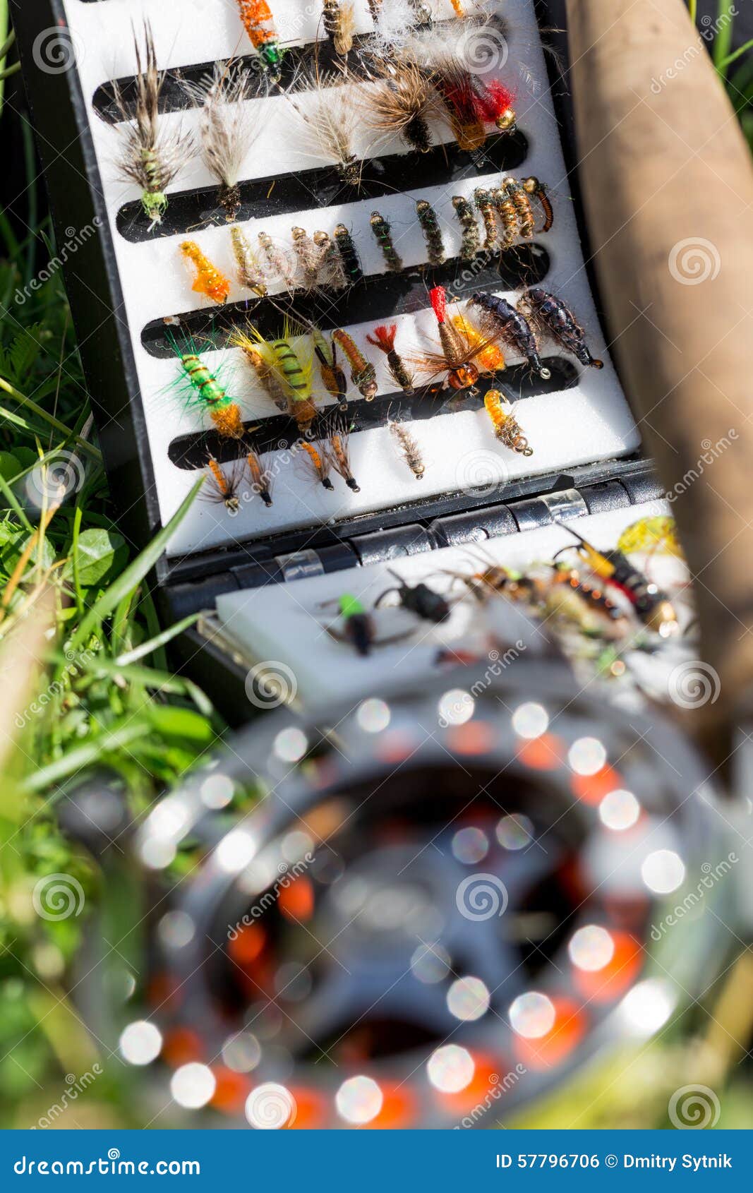 Fly Fishing Bugs and Road with Real Stock Photo - Image of sport, fish ...