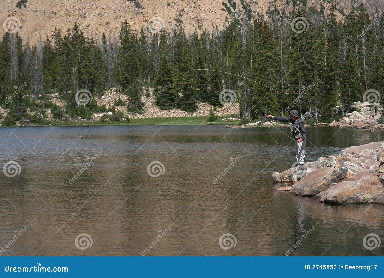 Fly Fishing / Casting / Lake Stock Photo - Image of lake, pond: 2745850