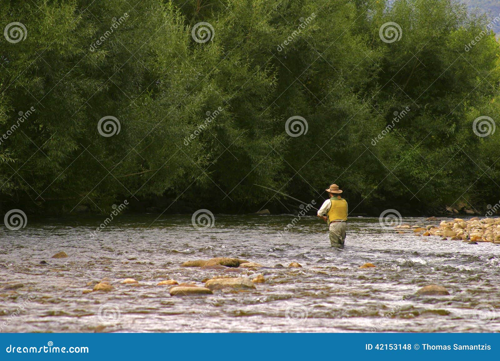 Fly fishing editorial stock photo. Image of leisure, wading - 42153148