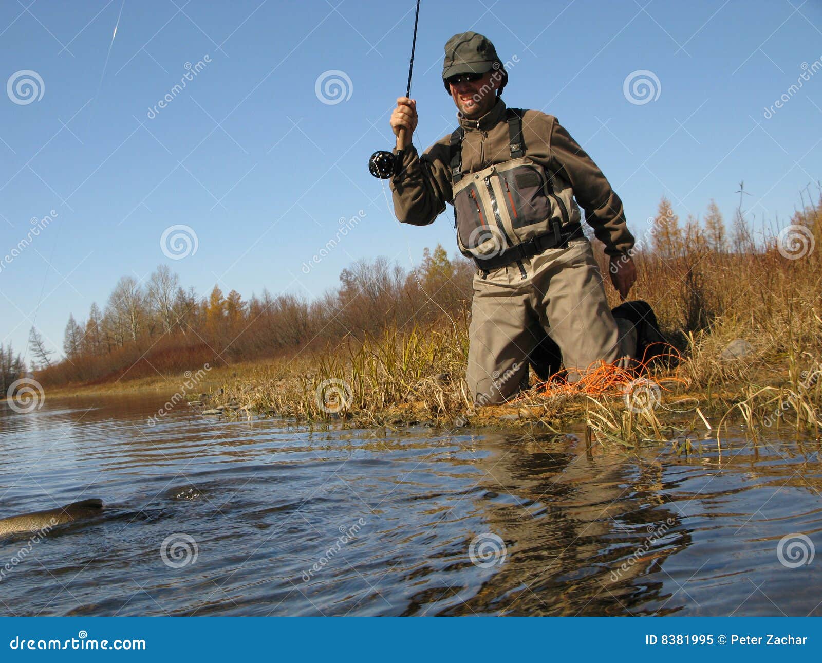 1,106 Fishing Fight Fish Stock Photos - Free & Royalty-Free Stock ...